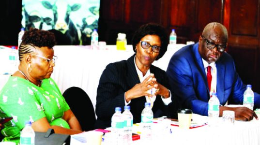 Energy investments cushion Zimbabwe from extensive load shedding